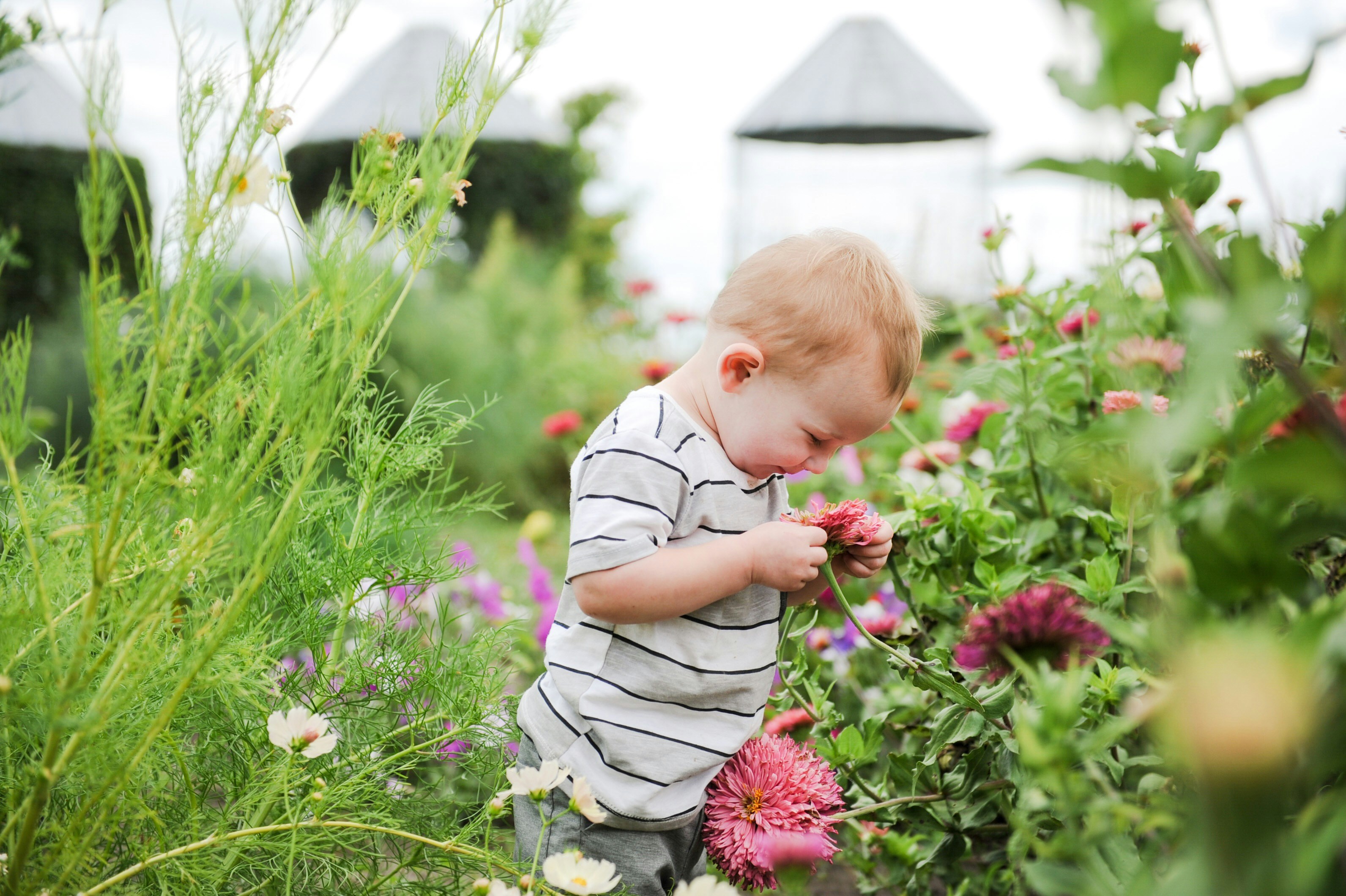 Family-Friendly Gardens: Get Outdoors this Summer with Kedel