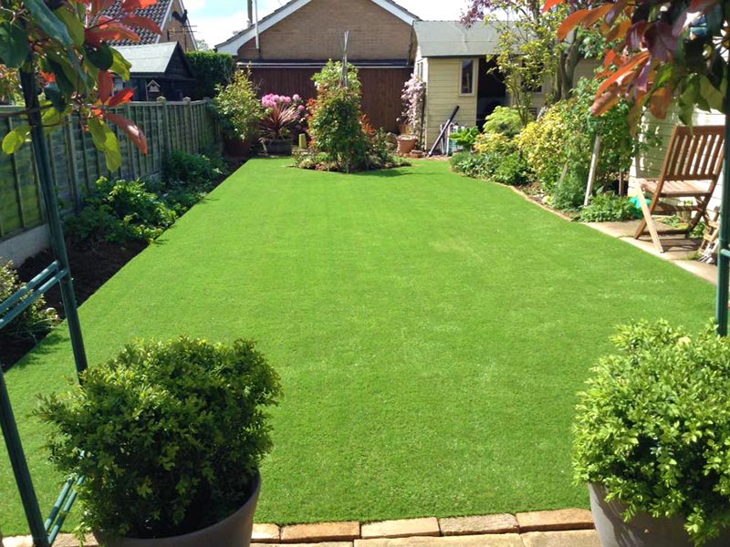 Artificial Rye-Grass 38mm Pile Depth Dog-friendly
